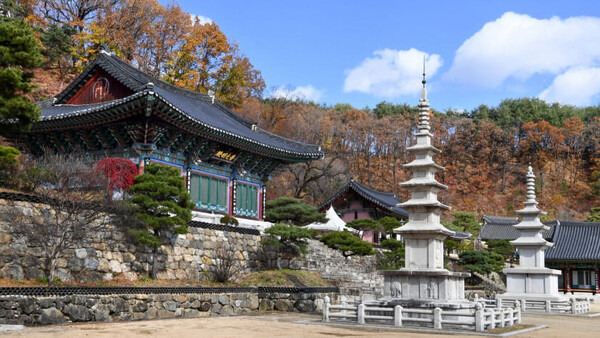예천 가볼만한 곳 Best 7 경북여행 숨은명소 여행톡톡