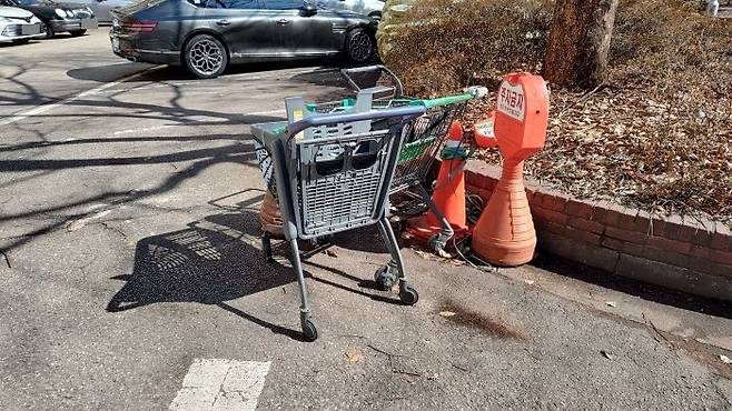 쇼핑카트 훔쳐가는 사람들지하철에 태우고 집까지 데일리안이 간다 33
