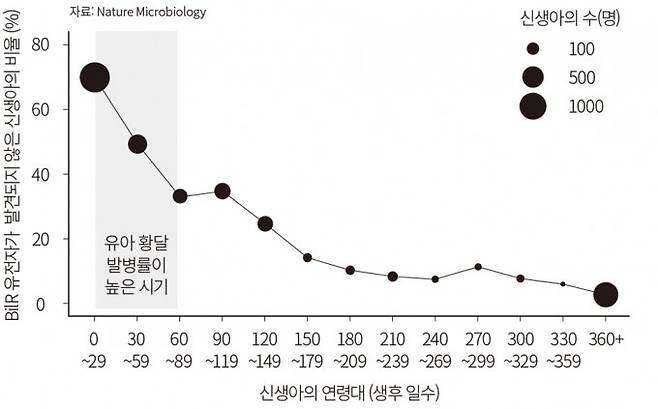 노란 소변 속에 숨겨진 장내미생물의 비밀