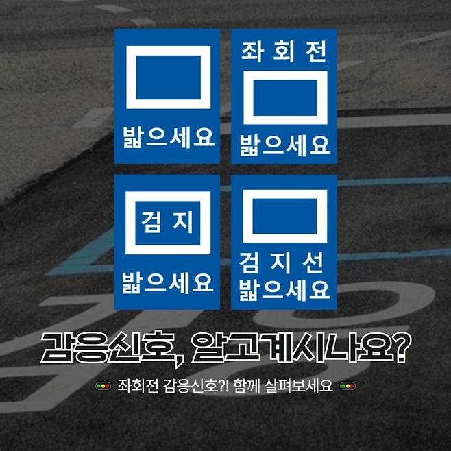 대부분 모르는 좌회전 신호 걸리면 7만원 입니다 카텍