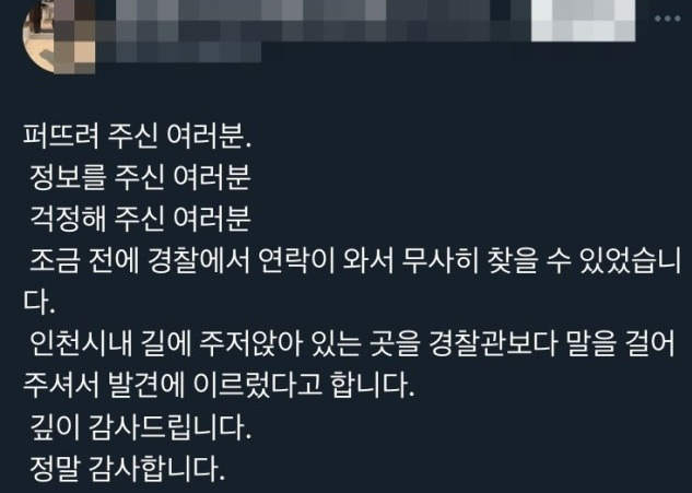 치매 아버지 실종 일본인 관광객 어색한 한국어 호소기적 같은 결말