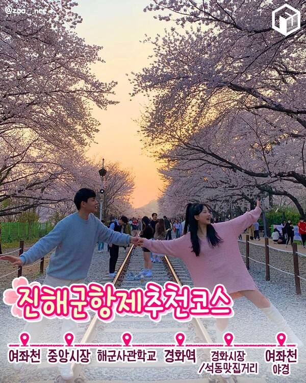 2024 진해 군항제 일정 코스 및 꿀팁 총정리 주차 여행톡톡