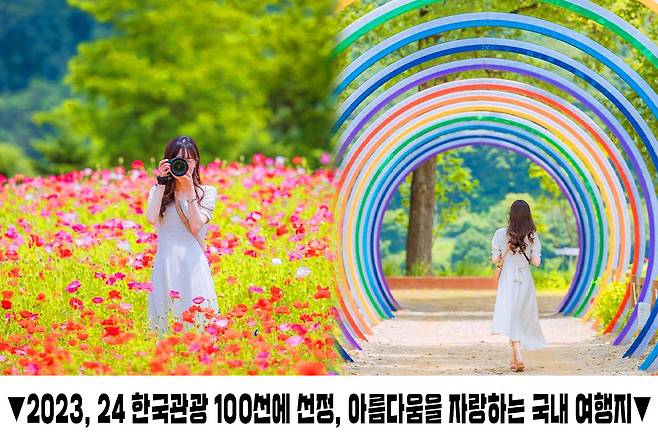 나만의 시간이 필요하다면 자연과 인파 속에서 경험하는 특별한 여행지 여행을말하다