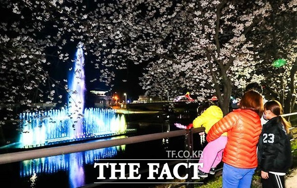 의성 남대천 벚꽃축제 30일 개막