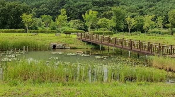 4월 생태관광지 어디 전북 고창 고인돌 유적과 운곡습지