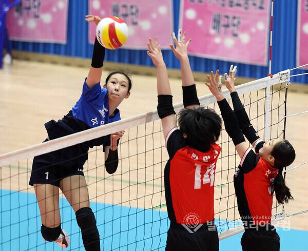 女배구 유망주 신은안 김태경 우리는 양효진 이다현 언니처럼 인터뷰