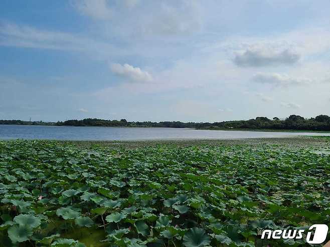 김제 만경 능제저수지 유원지 지정서부권 관광활성화 기대