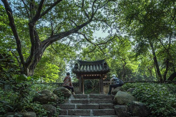조경가 정영선 한국의 산천은 신이 내린 정원