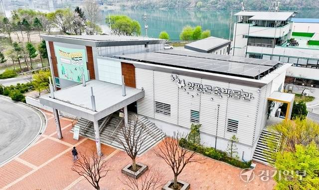 2024 경기도 박물관·미술관 다시보기 3 양평곤충박물관