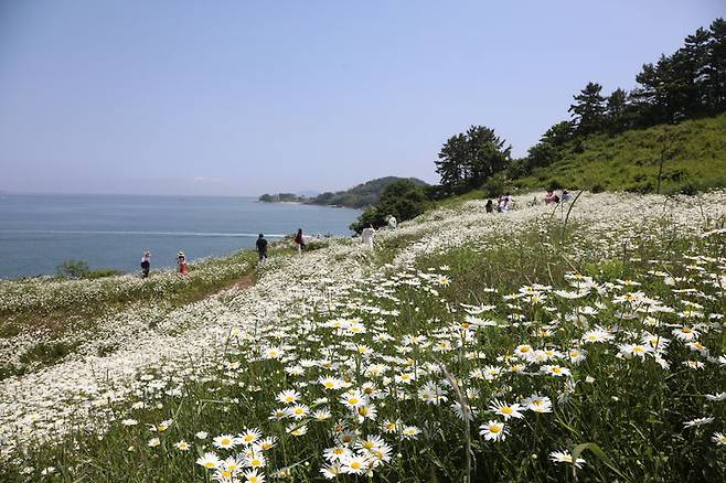 부안군 변산마실길 1코스 임시 우회탐방로 운영