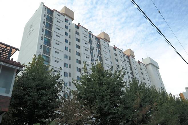 오늘 집값이 내일보다 쌀 걸 부동산 두부레터