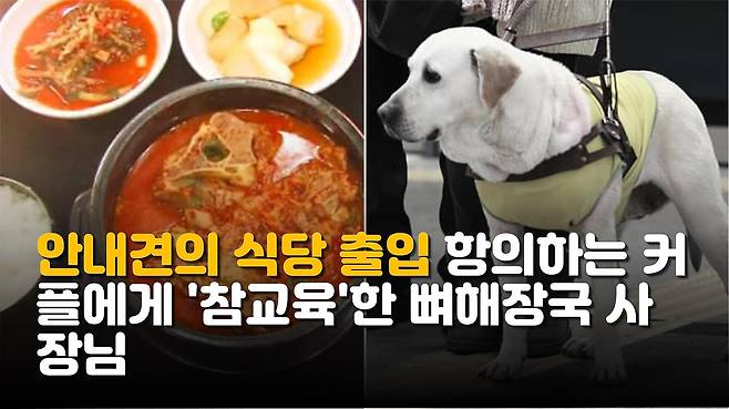 오동통하게 튀어나온 배 볼록 내민 채로 천진난만 해맑게 방긋 웃어 보이는 인절미 애니멀 플래닛