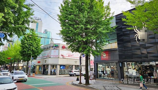 전남서 최고 비싼 땅 순천시 연향동 패션거리 탐방