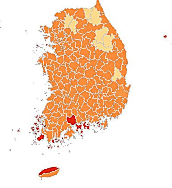 10분 환기했는데 온통 노래져날 더워지자 전국 뒤덮은 노란가루