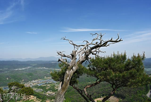 느린 풍경 산자락 뒤덮은 황홀한 철쭉 꽃잎보다 고운 진홍빛 노을