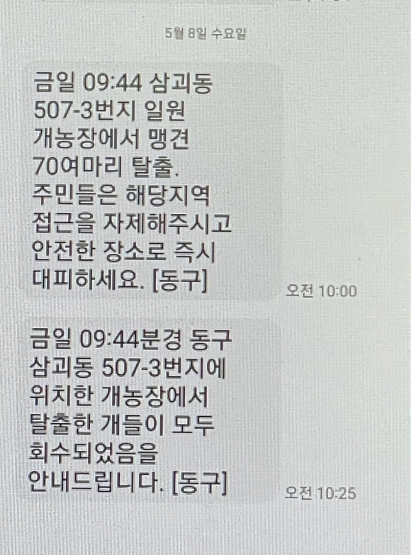 맹견 70마리 탈출했다” 재난문자출동하니 달랑 ‘애완견 3마리