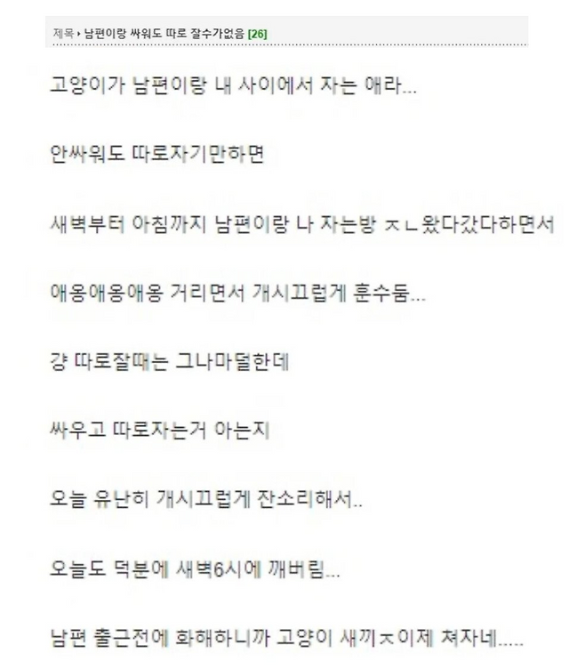 남편이랑 싸워도 따로 잘 수가 없는 이유 밈하우스