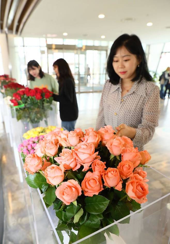 형형색색 장미