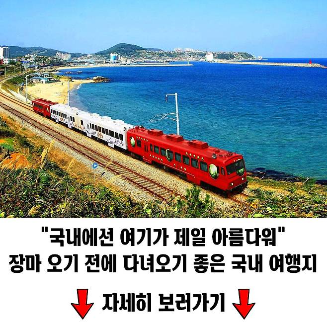 여기가 국내에서 제일 예뻐요 6월에 미리 다녀오면 좋은 국내 여행지 여행을말하다