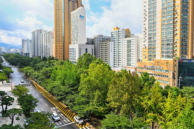 40년 나무 베고 명품공원”‘공원 지하주차장 건립에 주민 반발 한양경제