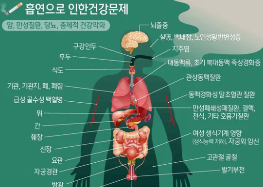 우리가 아는 담배 성분은 ‘빙산의 일각 신종담배 발암률 연구 20년 소요