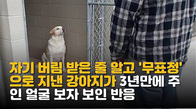 방귀 뀌었으면서 정작 부끄러웠는지 손으로 냄새 쓱쓱 날린 뒤 발뺌하는 아기 캥거루 애니멀 플래닛