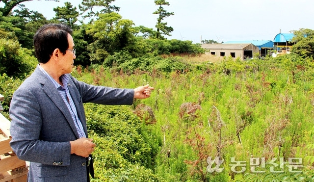 주변 온통 숲인데농산물유통시설 ‘조경 의무화 라뇨”