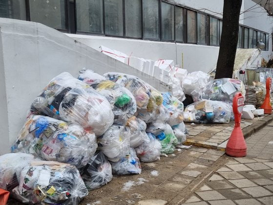 음식 묻은 비닐 종량제 봉투에 버리면 과태료 30만원 따져보니 인스티즈
