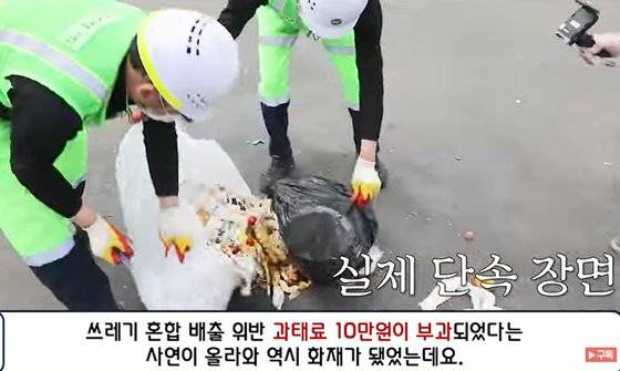 음식 묻은 비닐 종량제 봉투에 버리면 과태료 30만원 따져보니