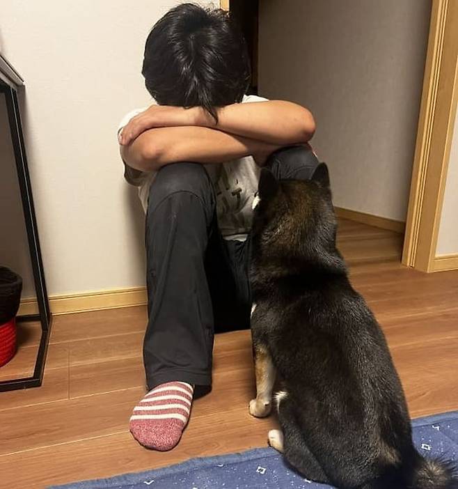 술 취해서 집에 돌아온 아빠가 바닥에 앉아 고개 숙이고 있자 걱정됐던 강아지가 보인 행동 애니멀 플래닛