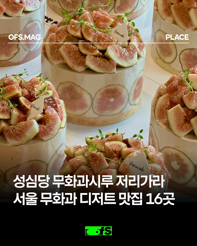 성심당 무화과시루 저리가라 서울 무화과 디저트 맛집 16곳 Ofs Magazine