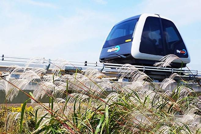 황금들판 순천 갈대 축제” 황금 갈대와 함께 설렘이 가득한 순천 여행지 인포매틱스뷰 세상모든여행정보