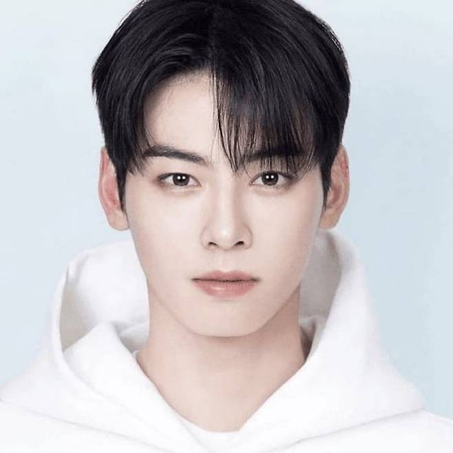 감탄사 절로 나온다는 차은우 얼굴 좌우반전 심리테스트 해볼래