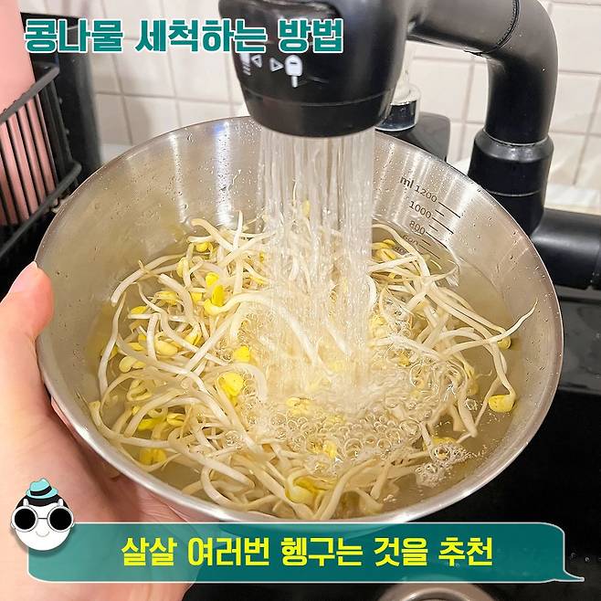‘이쑤시개 찔렀을 뿐인데 콩나물 보관 기간 늘어났다고 밥심