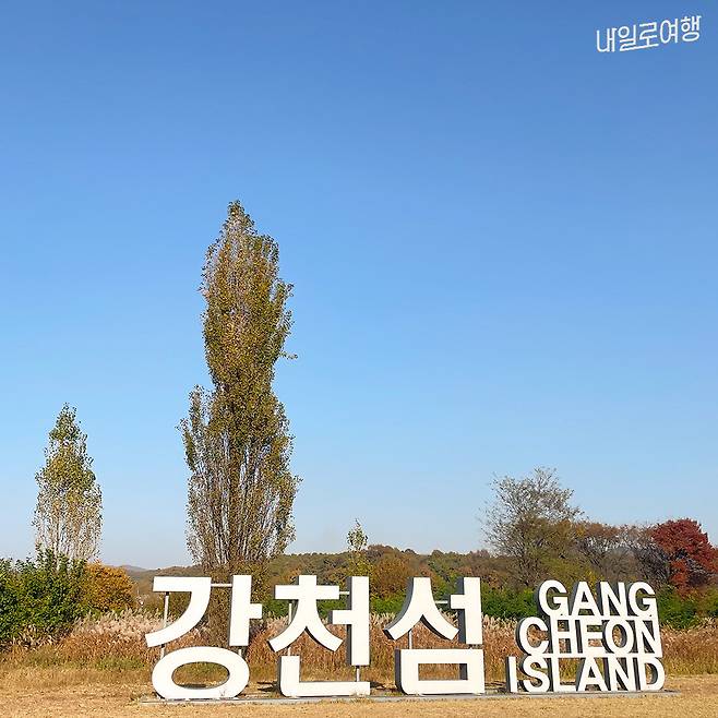 황금빛 은행나무 숲길이 부르는 가을 여주 강천섬 내일로여행