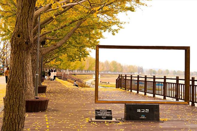 만추의 정취가 물씬 전국의 아름다운 10대 가로수길 여행을말하다