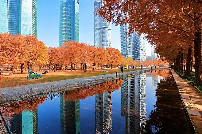 서울에서 만나는 단풍 절경 나들이 명소로 뽑힌 특별한 두 곳 여행탐구