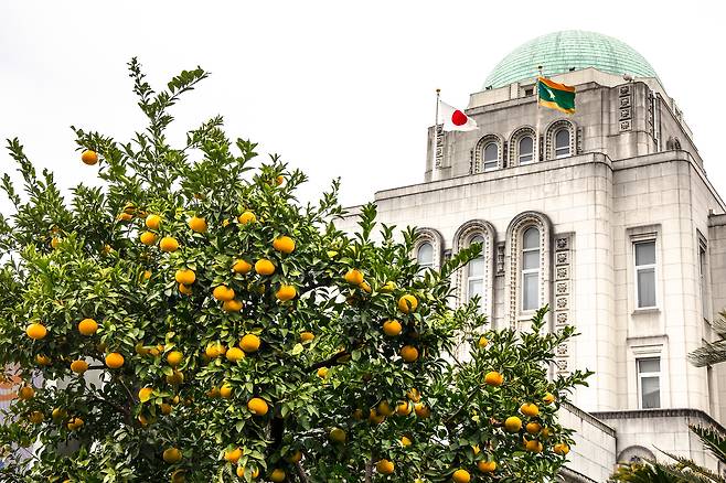 일본 소도시 여행 마츠야마 여행 정보 월간 아웃도어