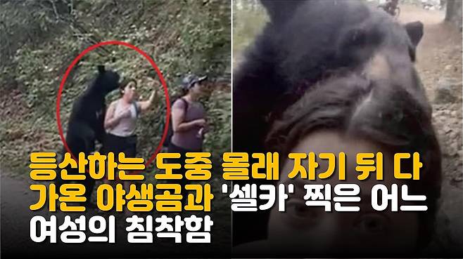 초록색으로 물든 발 때문에 잔디밭 뛰어 놀았다는 사실 딱 걸린 강아지 애니멀 플래닛