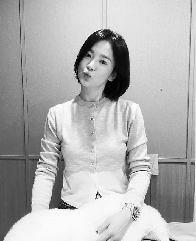 송혜교 20년 지기 이진과의 우정우아한 메이크업과 헤어스타일로 시선 집중 뷰티는 내운명