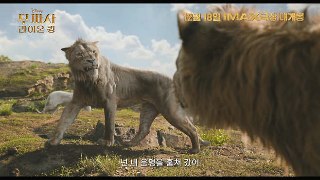 심바 아빠 어린 시절무파사 라이온 킹 12월 개봉일 확정