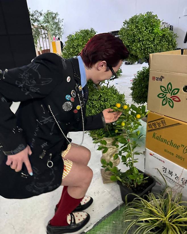 역시 지드래곤 스카프에 트위드 재킷 하의실종 패션까지 가지뉴스