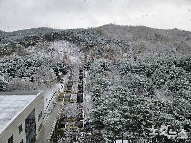 대설주의보에 강풍주의보까지겨울 소식 호되게 온다