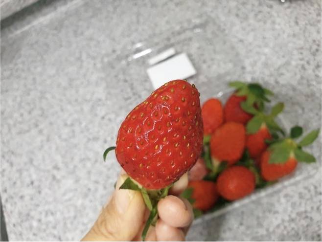 제철딸기 세척할 때는 112 세척법을 기억해 주세요~ 오늘살림루틴