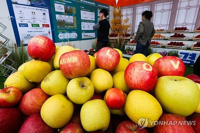 사과밭 강원도로 대이동”기후변화가 만든 새로운 한국 농업지도