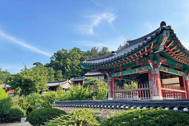 국내 2번째로 긴 출렁다리 개통하자마자 50만 명 몰린 여행지 여행을말하다