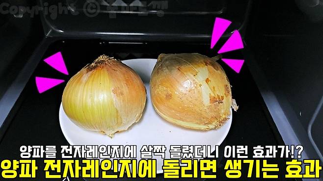 자칫 썩기 쉬운 양파 몇 달도 끄떡없는 보관법 2가지 쏙쏙팁