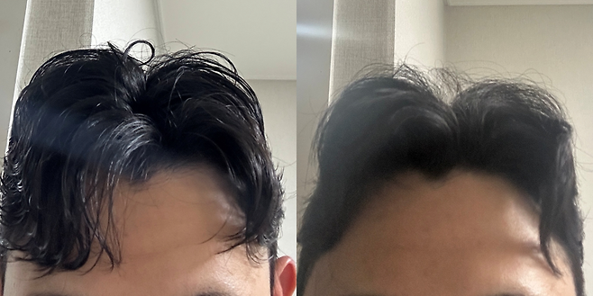본인 머리 평가좀 에펨코리아