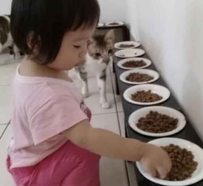고양이 밥 챙겨주겠다며 사료통 통째로 들고 간 딸 아이가 벌인 대형 사고 애니멀 플래닛