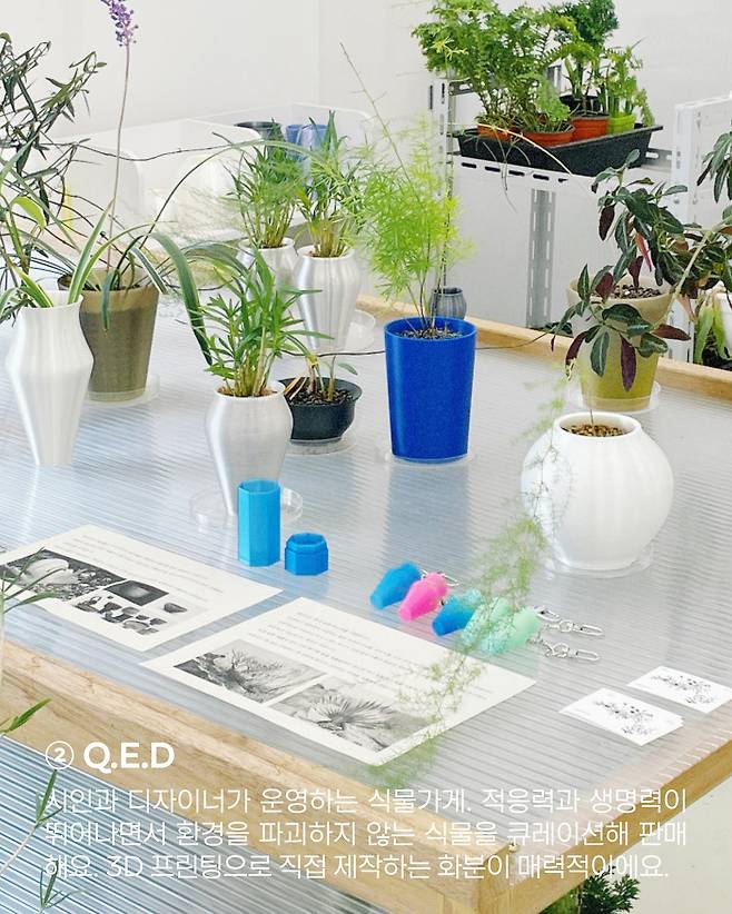 반려식물 입양처 여기는 어떠세요🪴 Ofs Magazine
